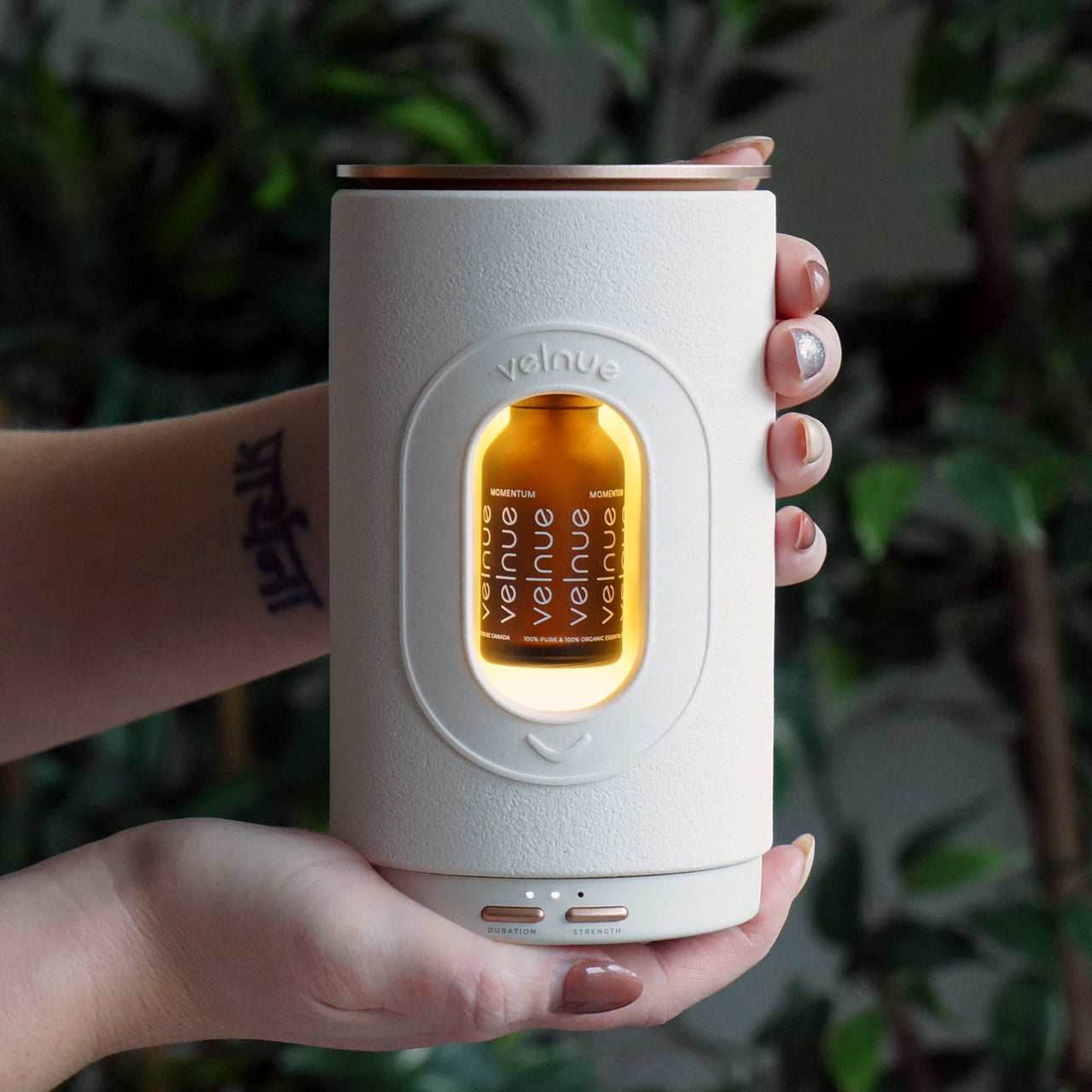 Cove - Waterless & Cordless Essential Oil Diffuser | VELNUE – Velnue